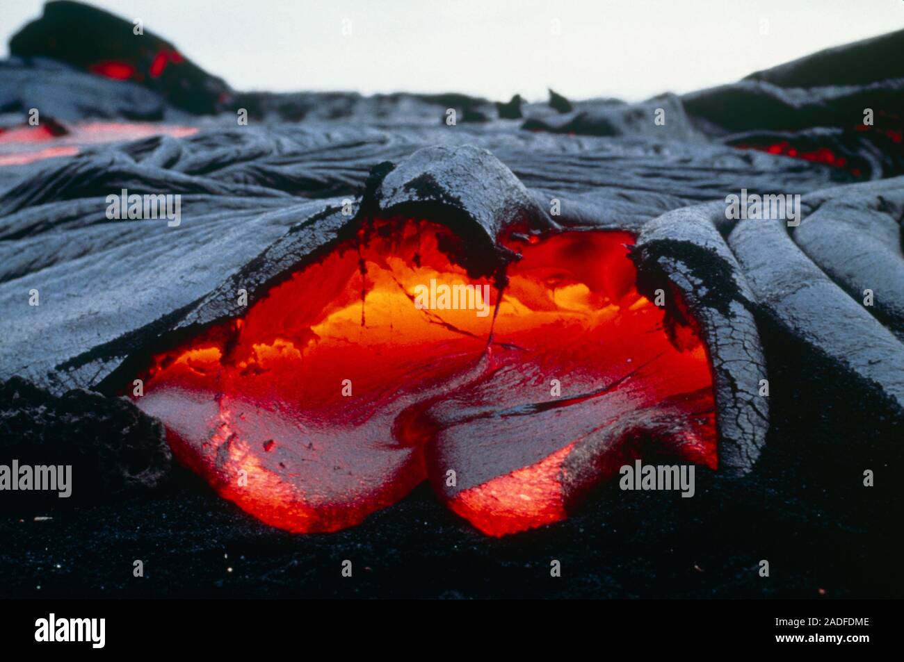 Pahoehoe lava. View of the front of a molten pahoehoe lava flow from a ...