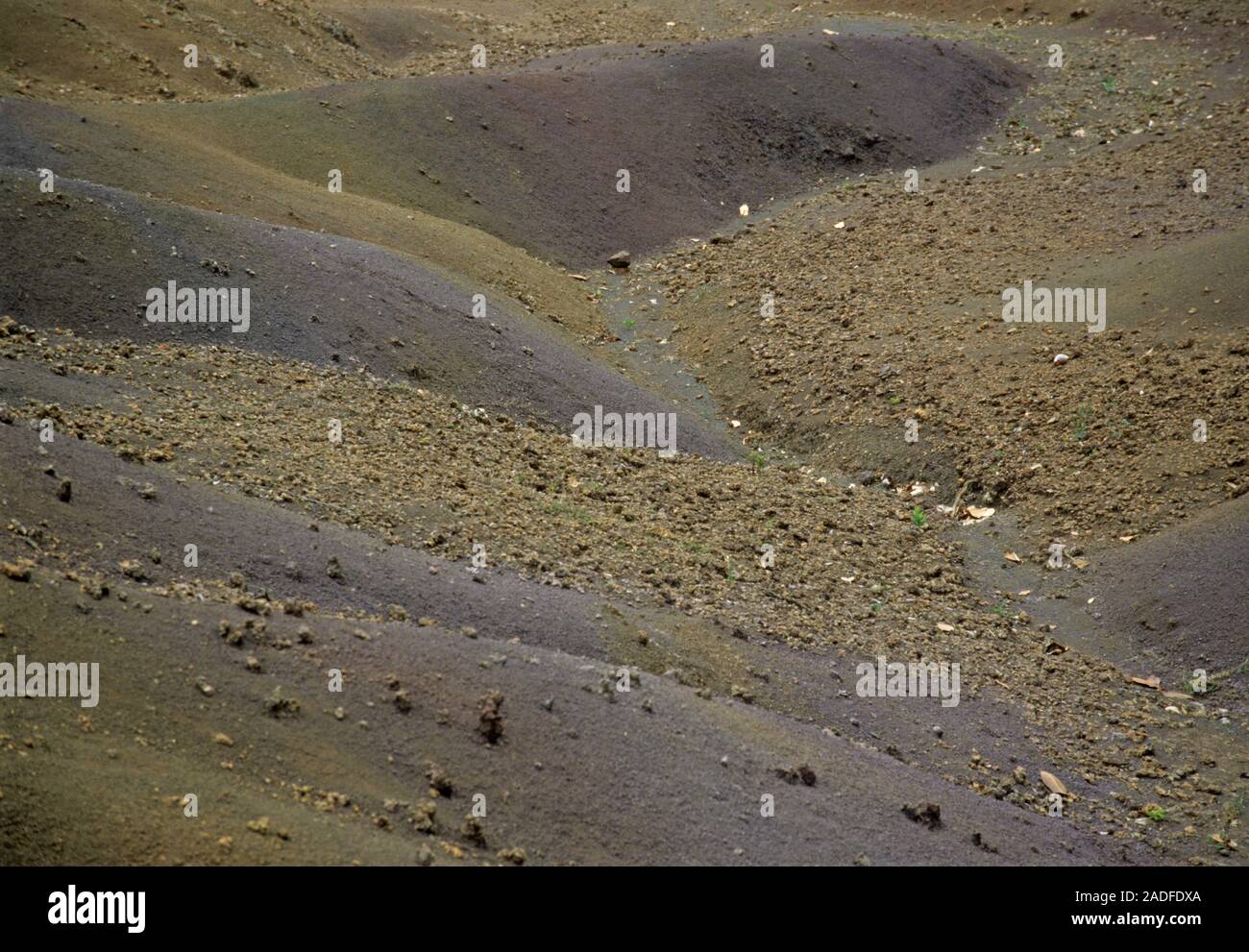 Chamarel coloured earths. These undulating mounds of earth have ...