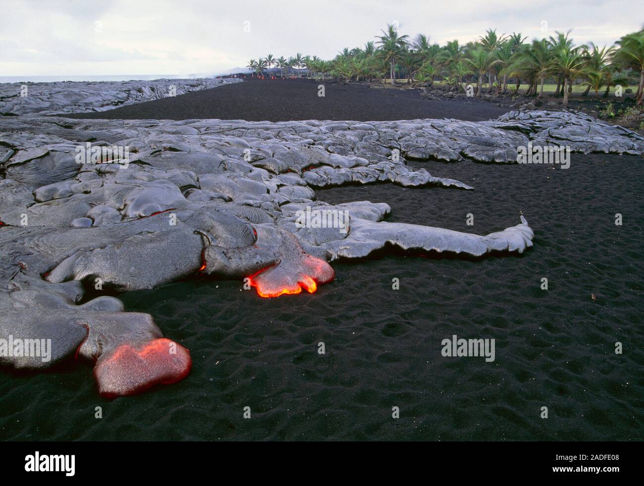 Pahoehoe lava from Kilauea volcano, at Kamoamoa, in the Hawaii Volcanoes National Park, Hawaii ...