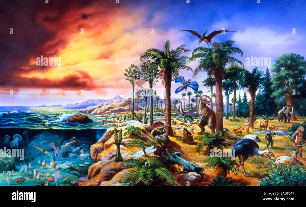 Evolution of life. Illustration of sea and land animals from various ...