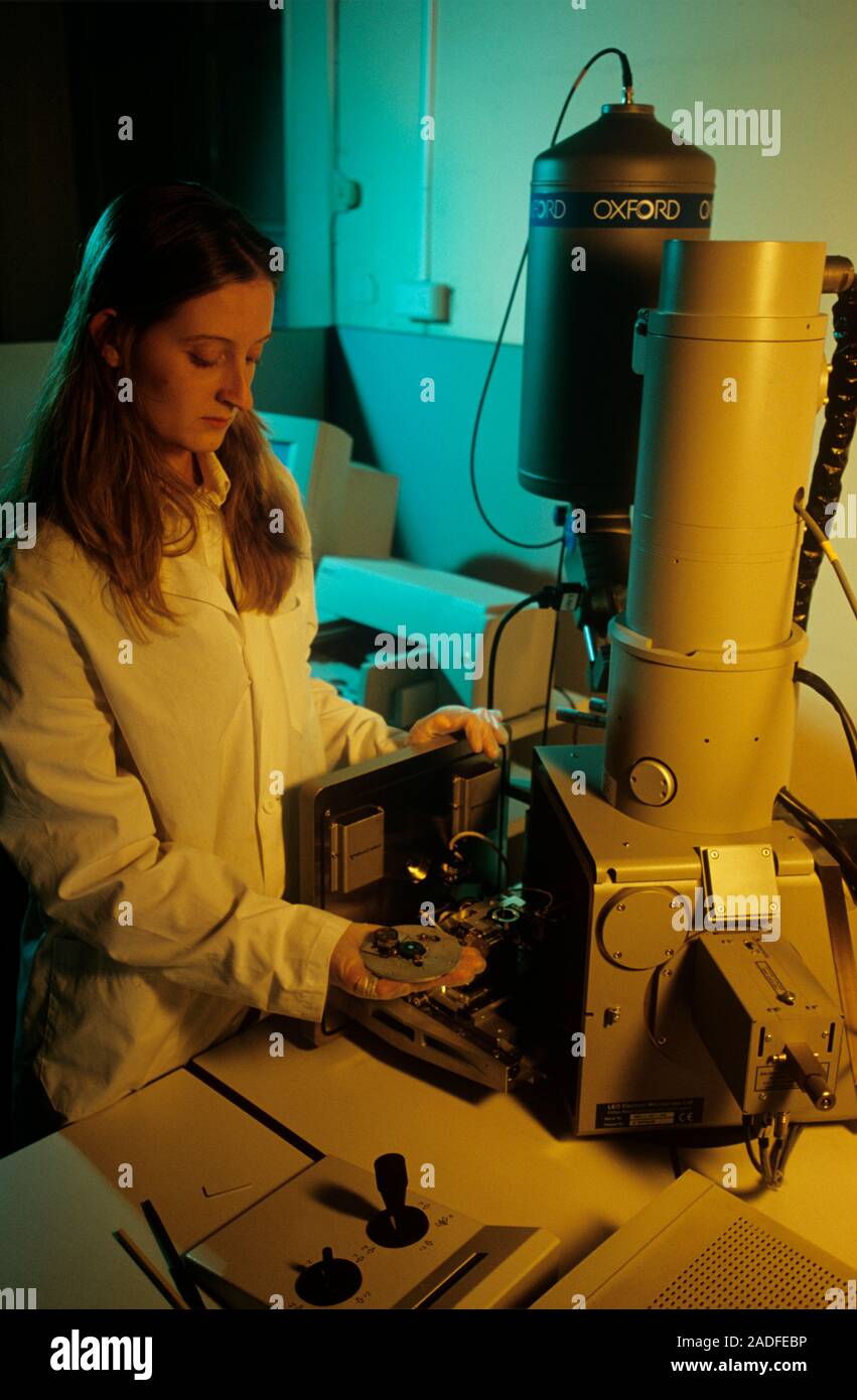 Volcanic rock analysis. Technician placing a sample of basalt rock from ...