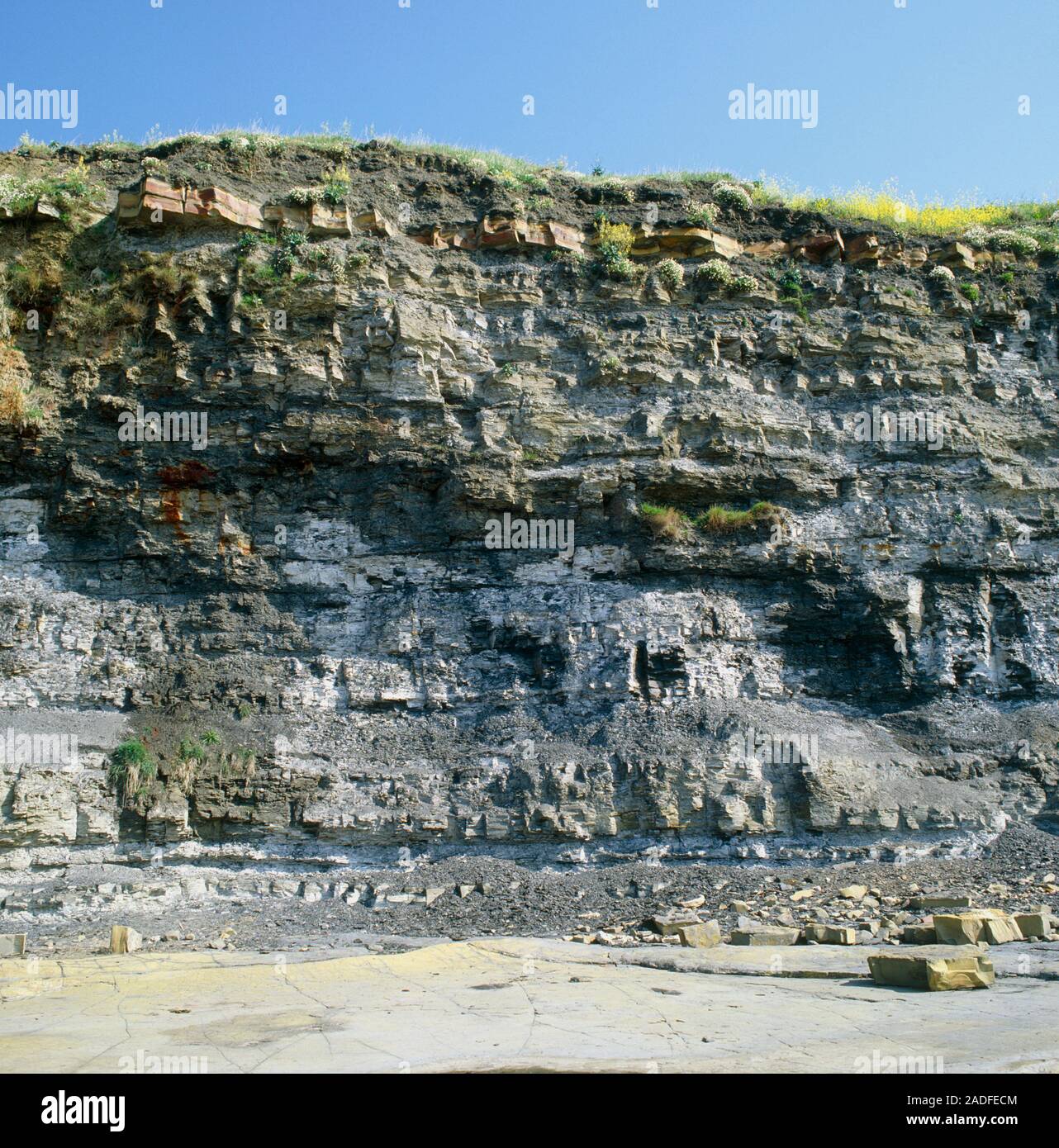 View of cliffs at Kimmeridge Bay, Dorset, UK, showing strata of ...