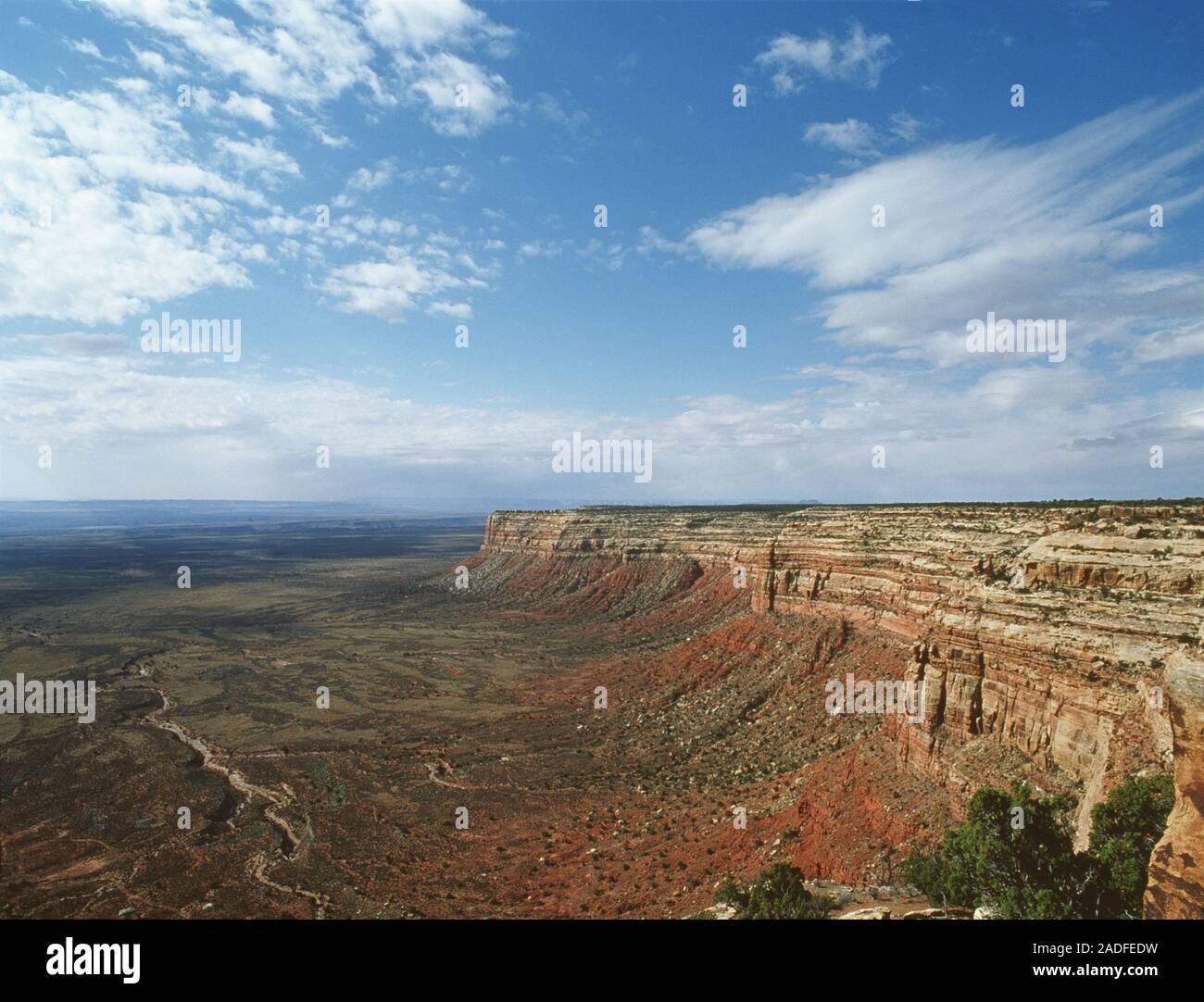 Sandstone rock strata. This sedimentary rock was formed by the ...