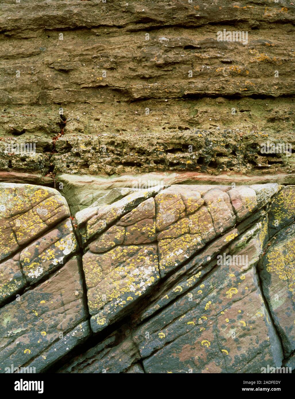 Rock unconformity. An unconformity is a break between two rock types ...