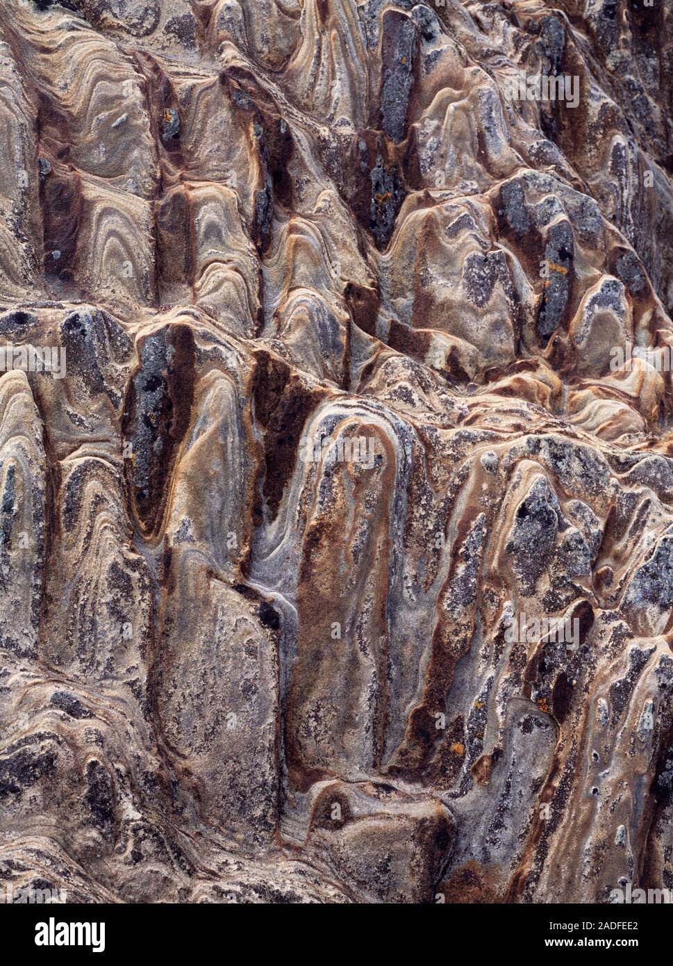 Sandstone rock strata. Patterns in crumpled strata revealed in eroded ...