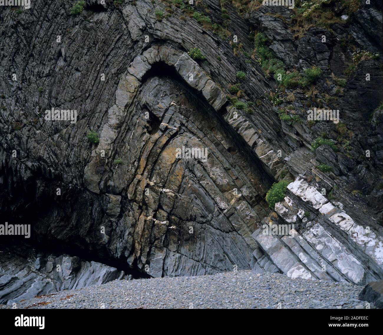 Anticlinal chevron fold in rock strata. The strata were originally ...