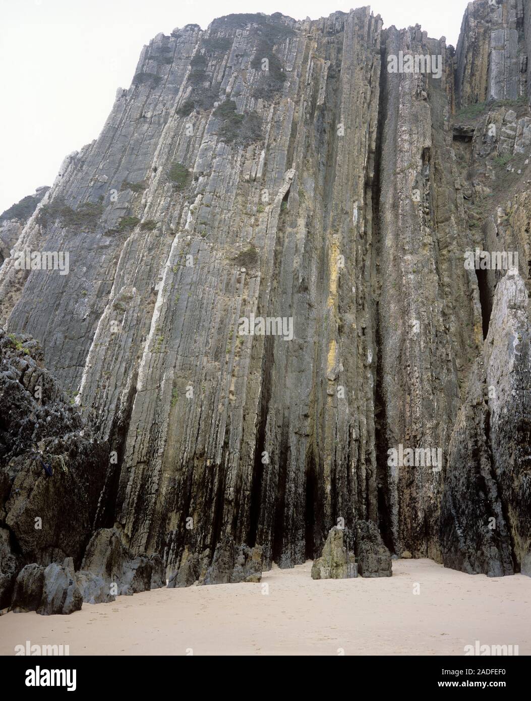 Vertical rock strata at a beach. These strata comprise sedimentary ...