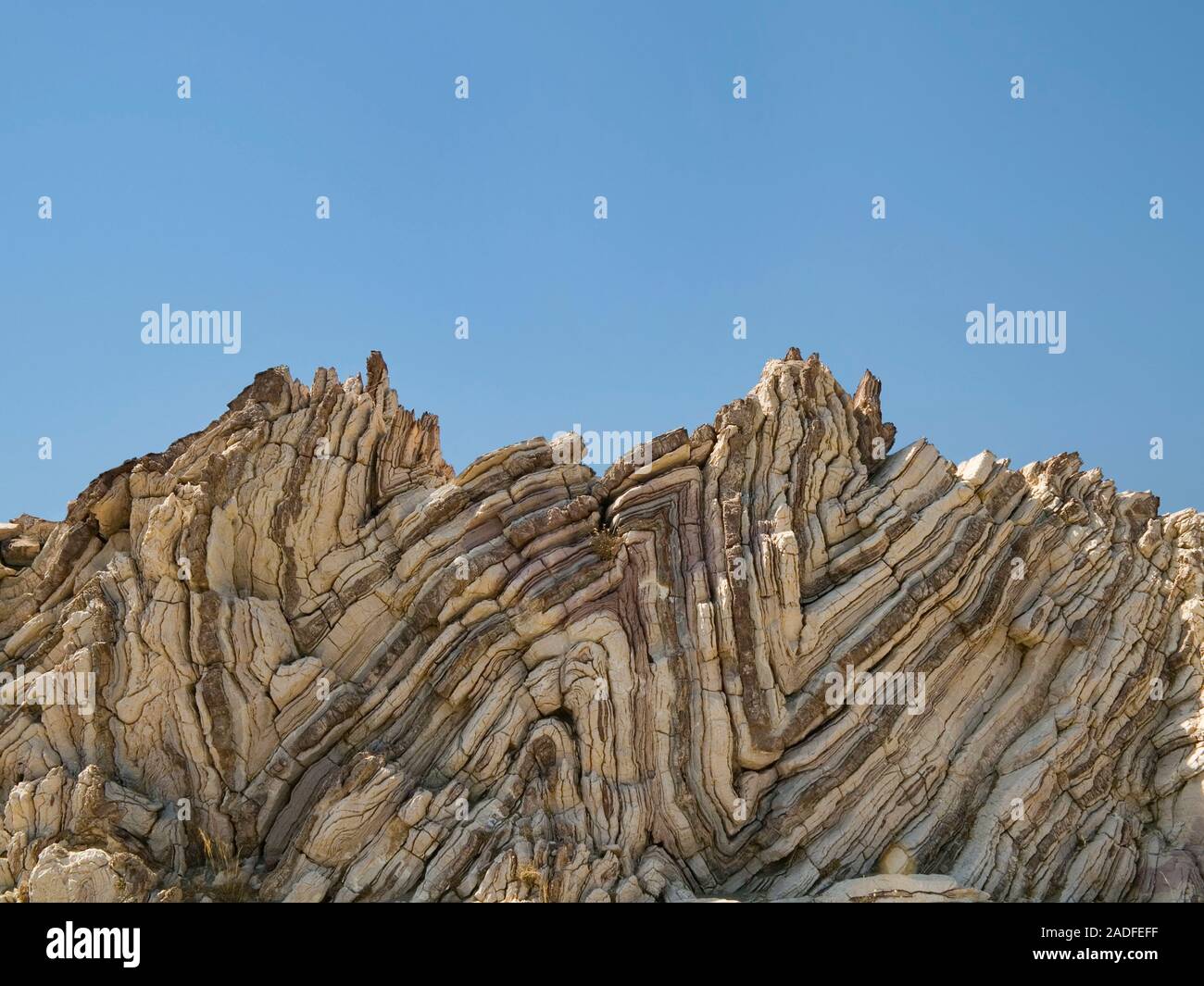 Folded limestone. Angular folds in pelagic (formerly sea bed rock ...