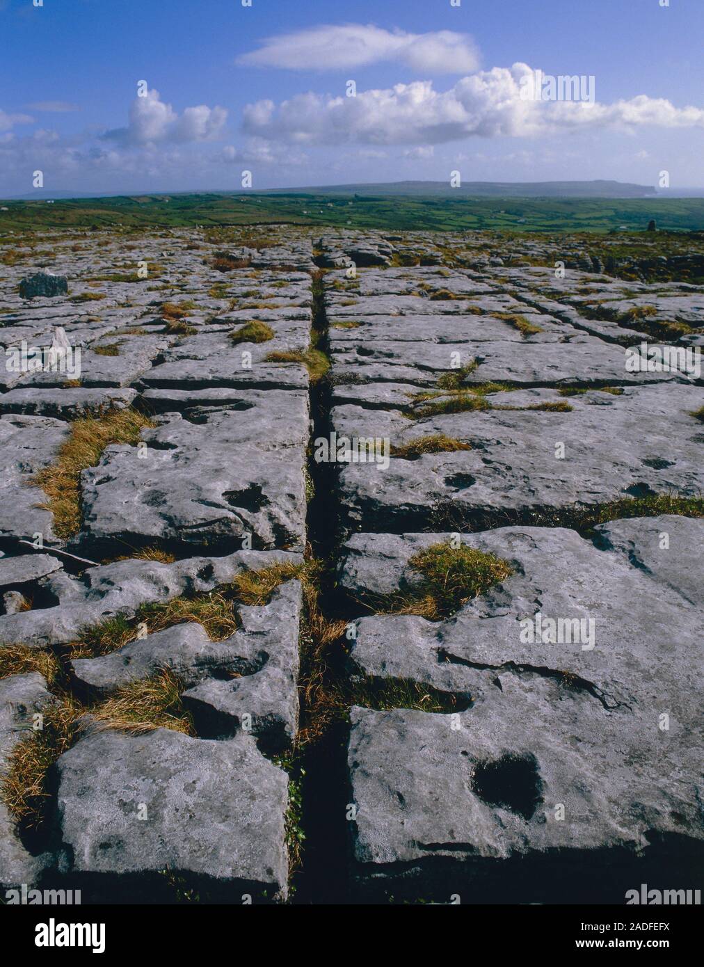 Carboniferous limestone pavement, showing regular jointing consisting ...