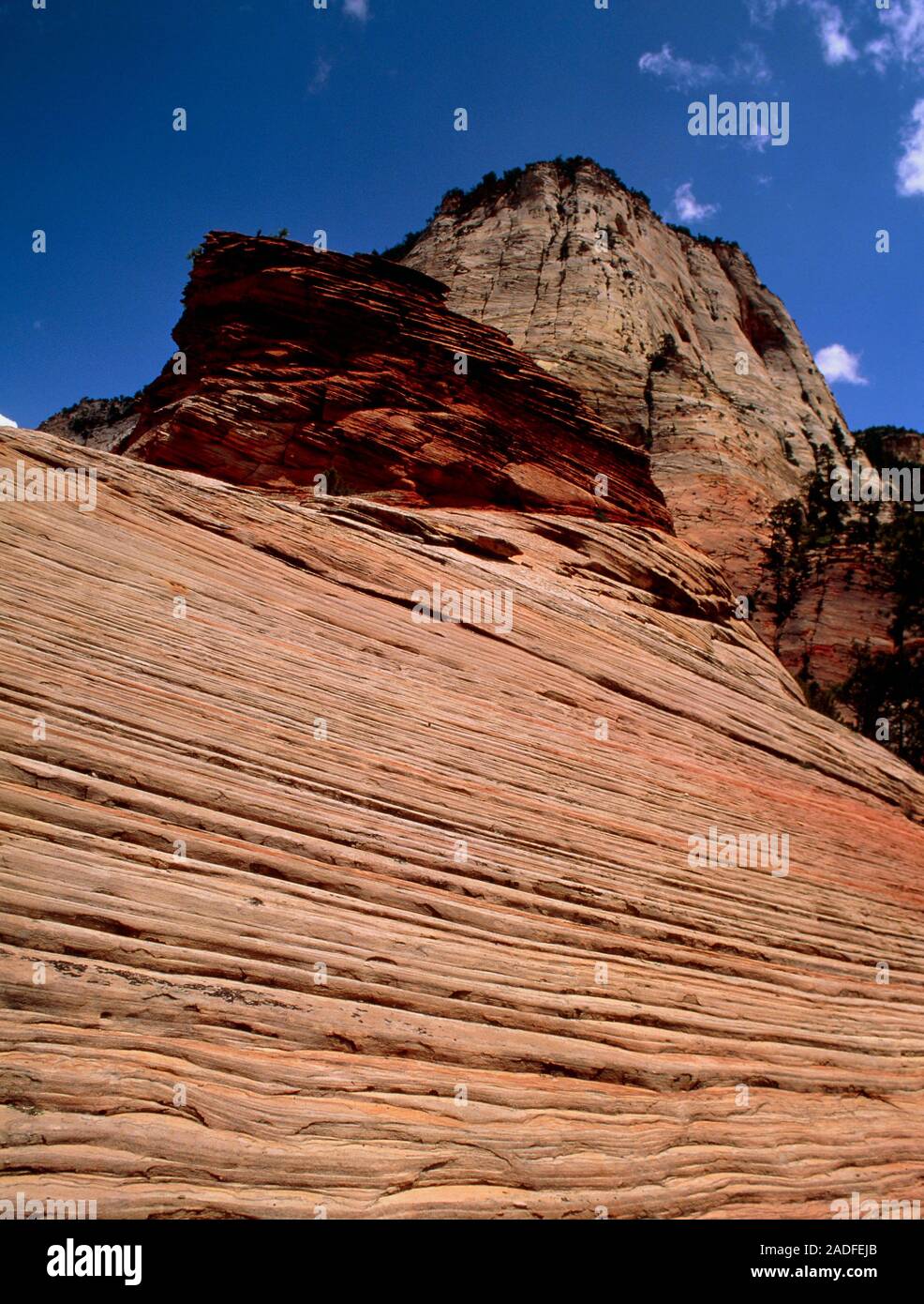 Banded sedimentary rock face. View of sedimentary rock face, showing ...