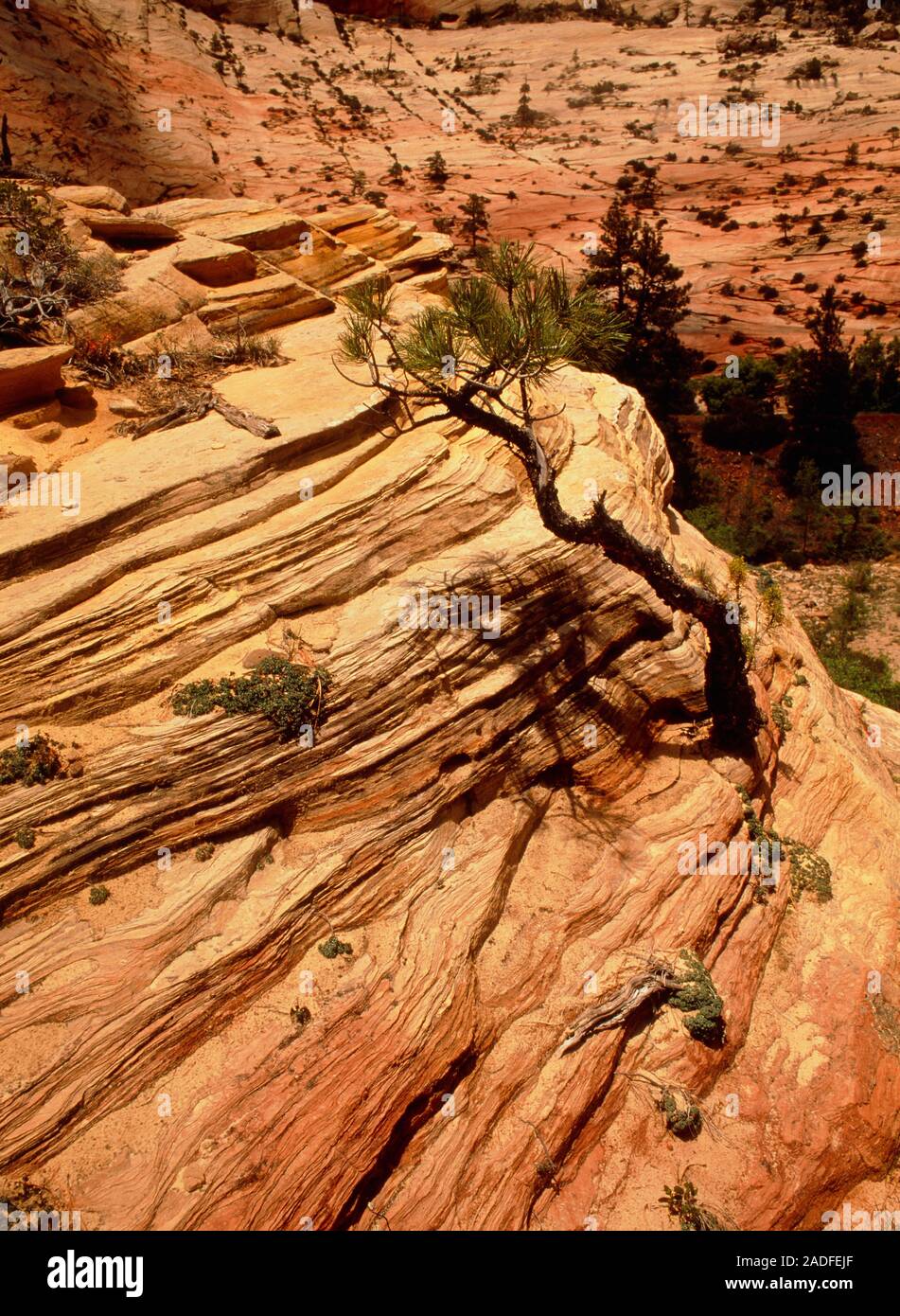 Banded sedimentary cliff. View of sedimentary rock cliff, showing very ...