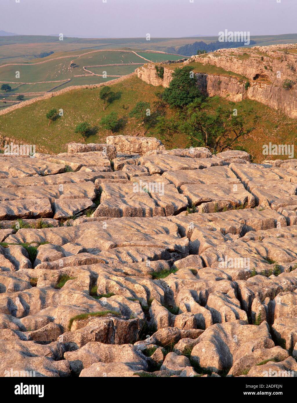 Limestone pavement. A view of limestone pavement, a flat exposure of ...