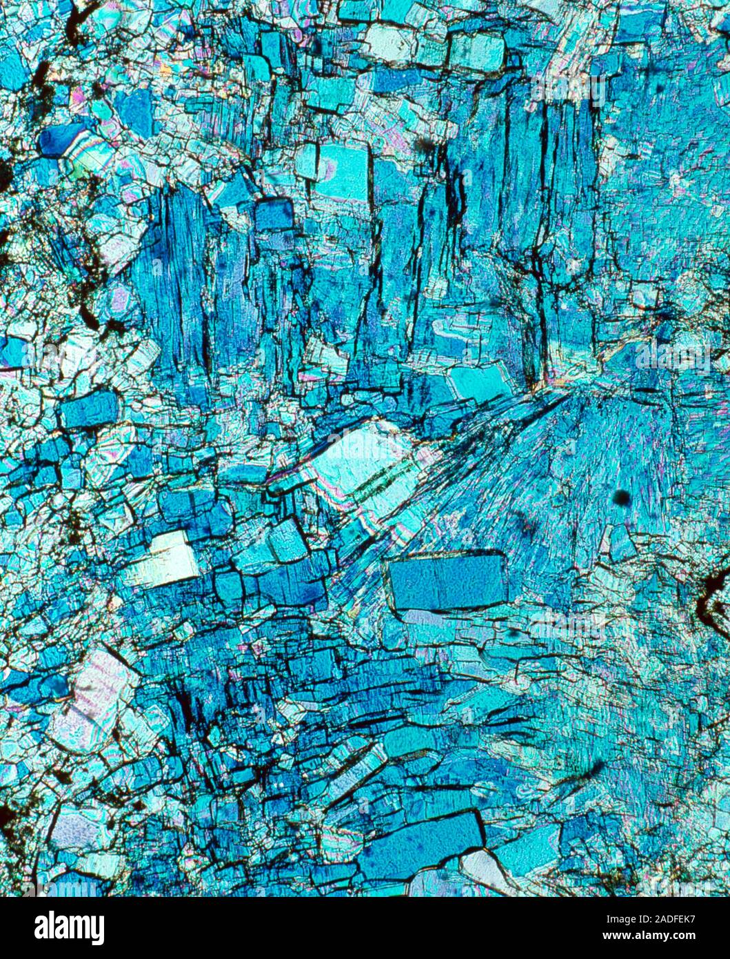 Gypsum. Polarised light micrograph of a thin section of gypsum. Gypsum ...