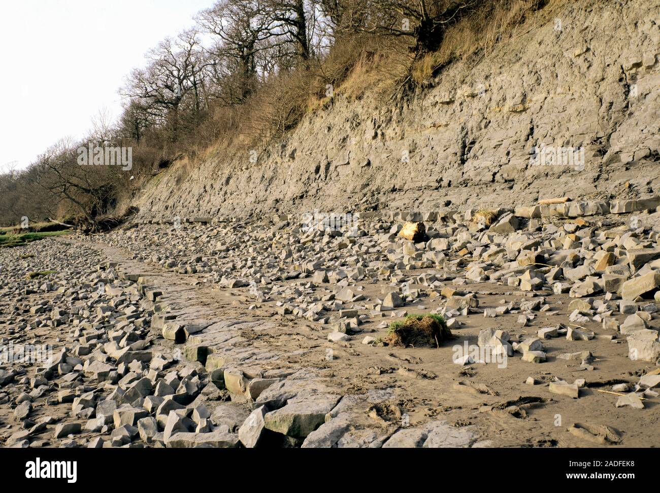 River cliff. View of the Lower Lias rock strata in a river bank cliff ...