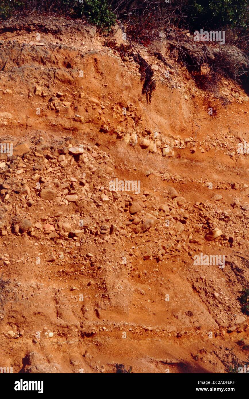 Sedimentary rock. Bands of stones and fine sediment forming sedimentary ...