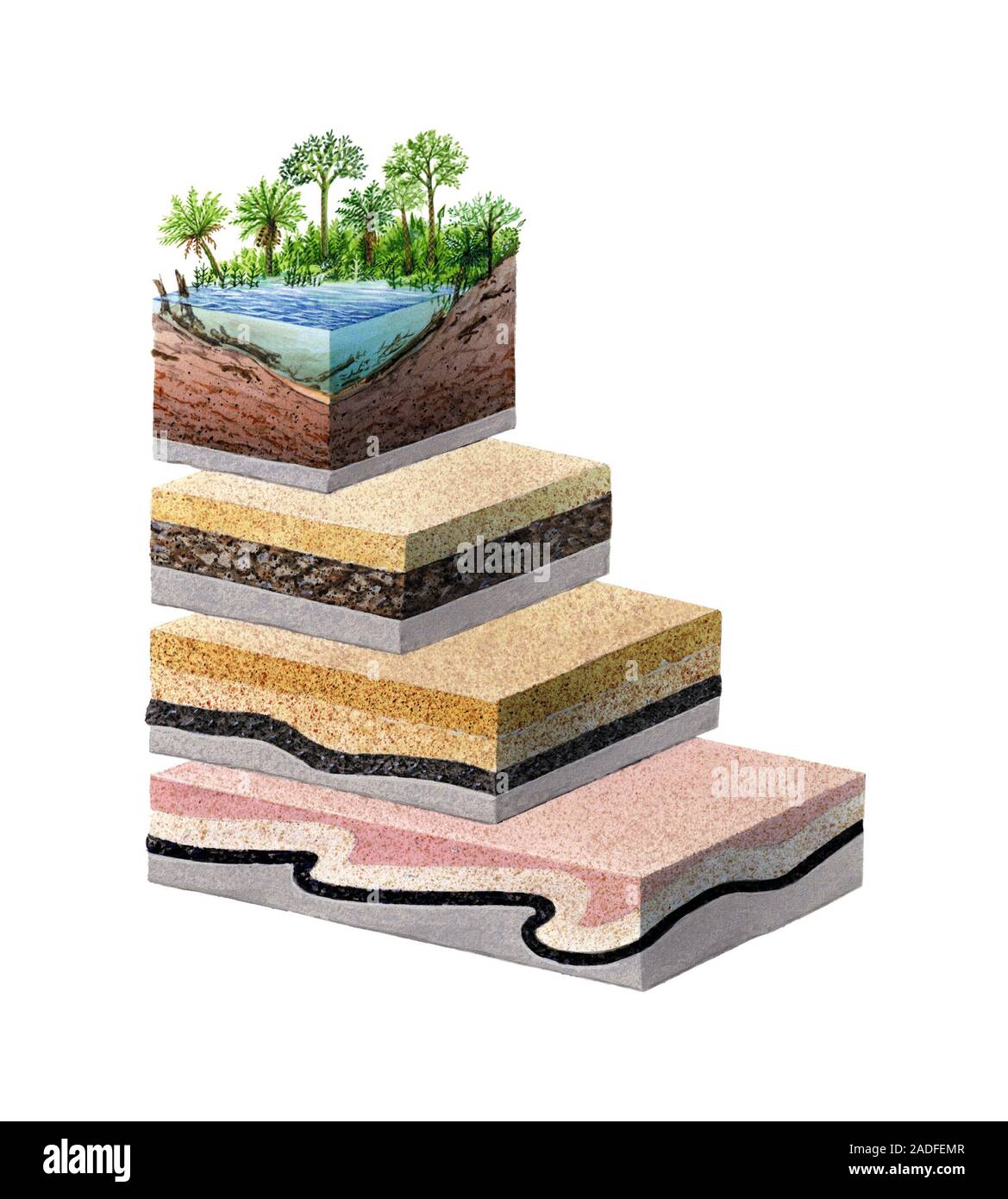 Coal formation, artwork. At top, plants grow around the edges of a ...