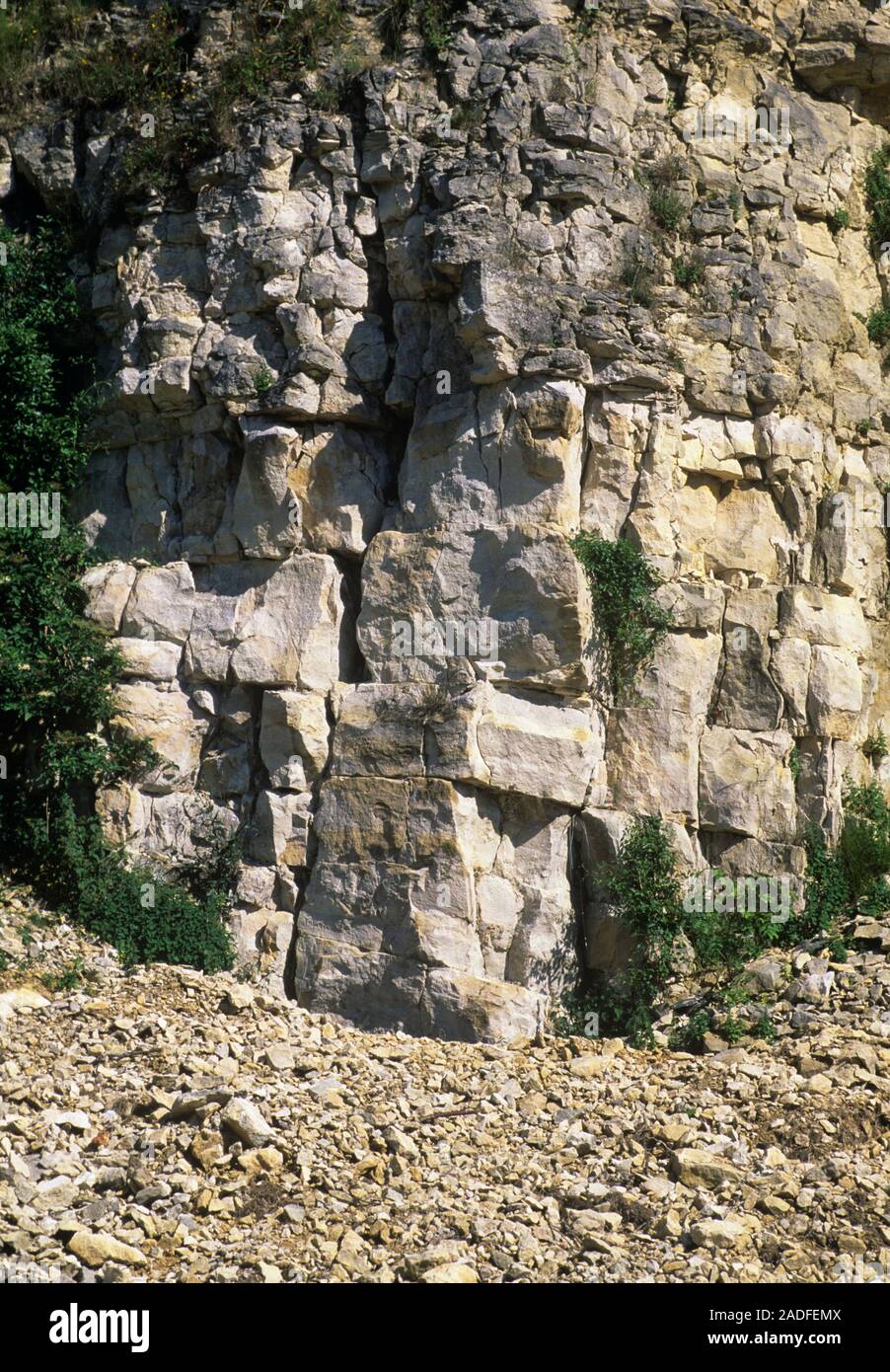 Limestone. Strata and fissures in an oolitic limestone cliff ...