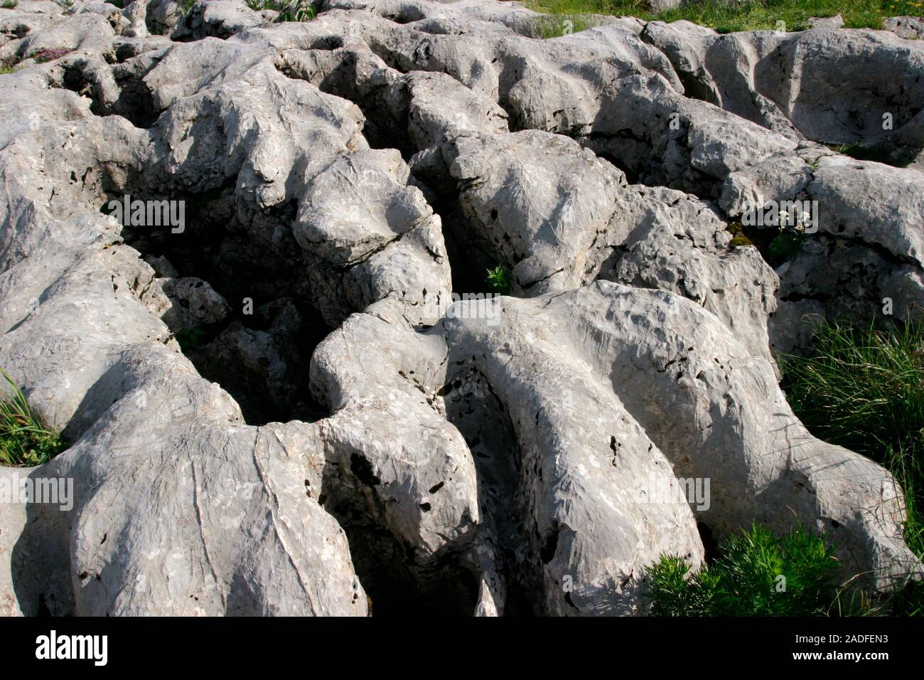 Eroded limestone rock. The limestone rock has been shaped by natural ...