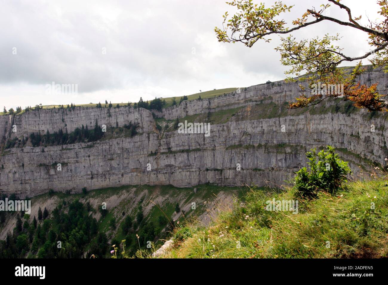 Limestone cliffs. These cliffs have formed from a layer of limestone ...