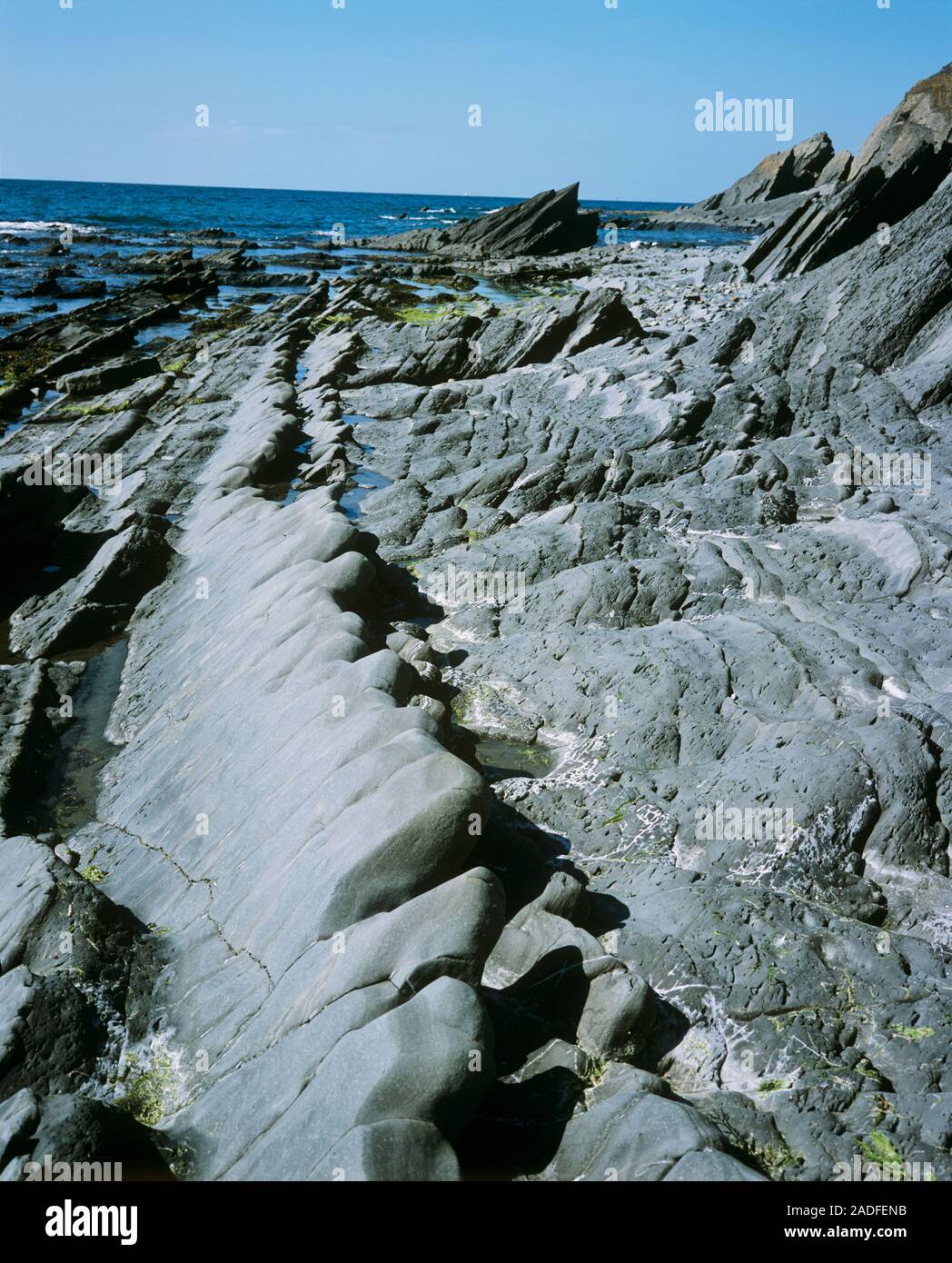 Shales at a coast. Shale is a sedimentary rock formed by the ...