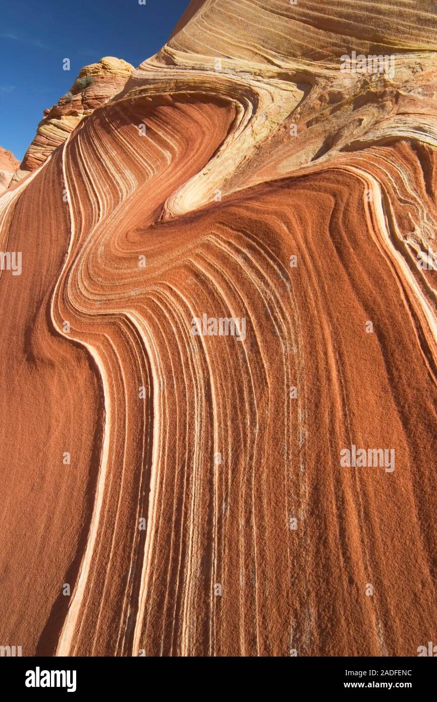 Sedimentary rock. This sandstone was formed by the deposition of ...