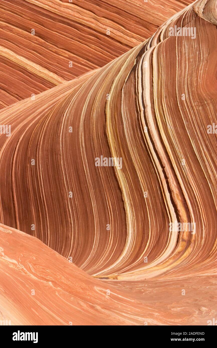 Sedimentary rock. This sandstone was formed by the deposition of ...