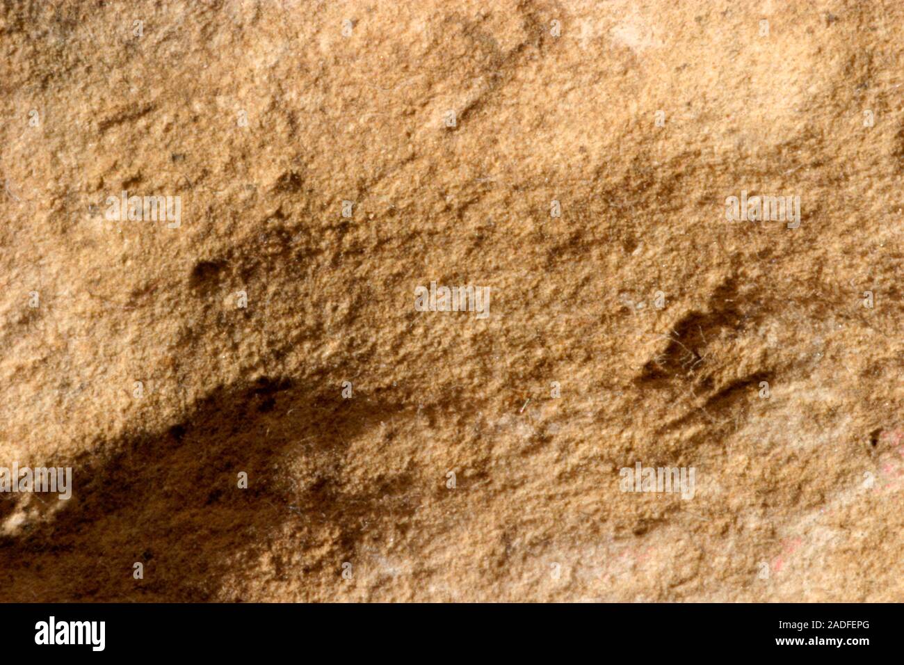 Rock formed from loess. Loess is a fertile aeolian (wind-borne ...