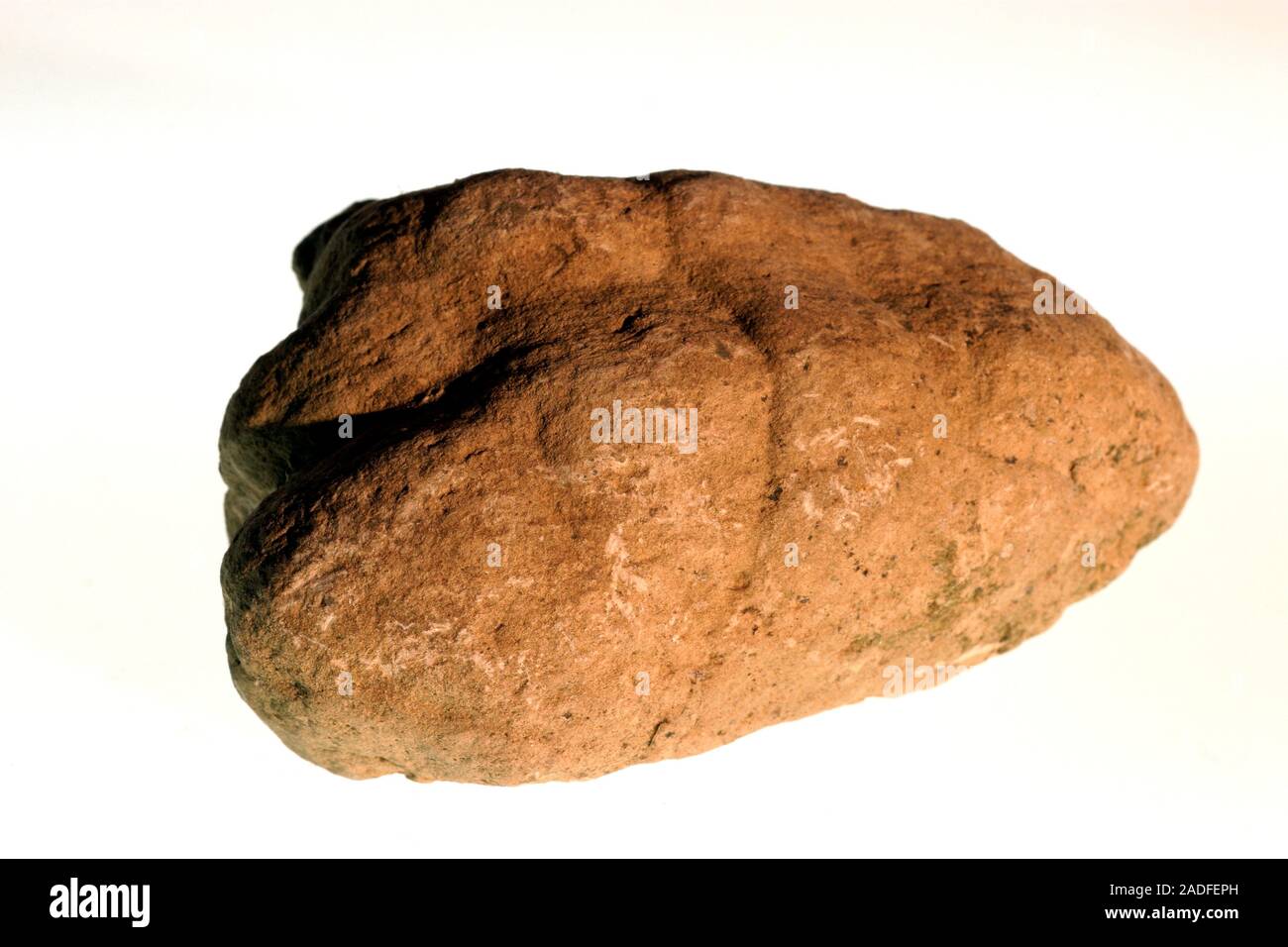 Rock formed from loess. Loess is a fertile aeolian (wind-borne ...