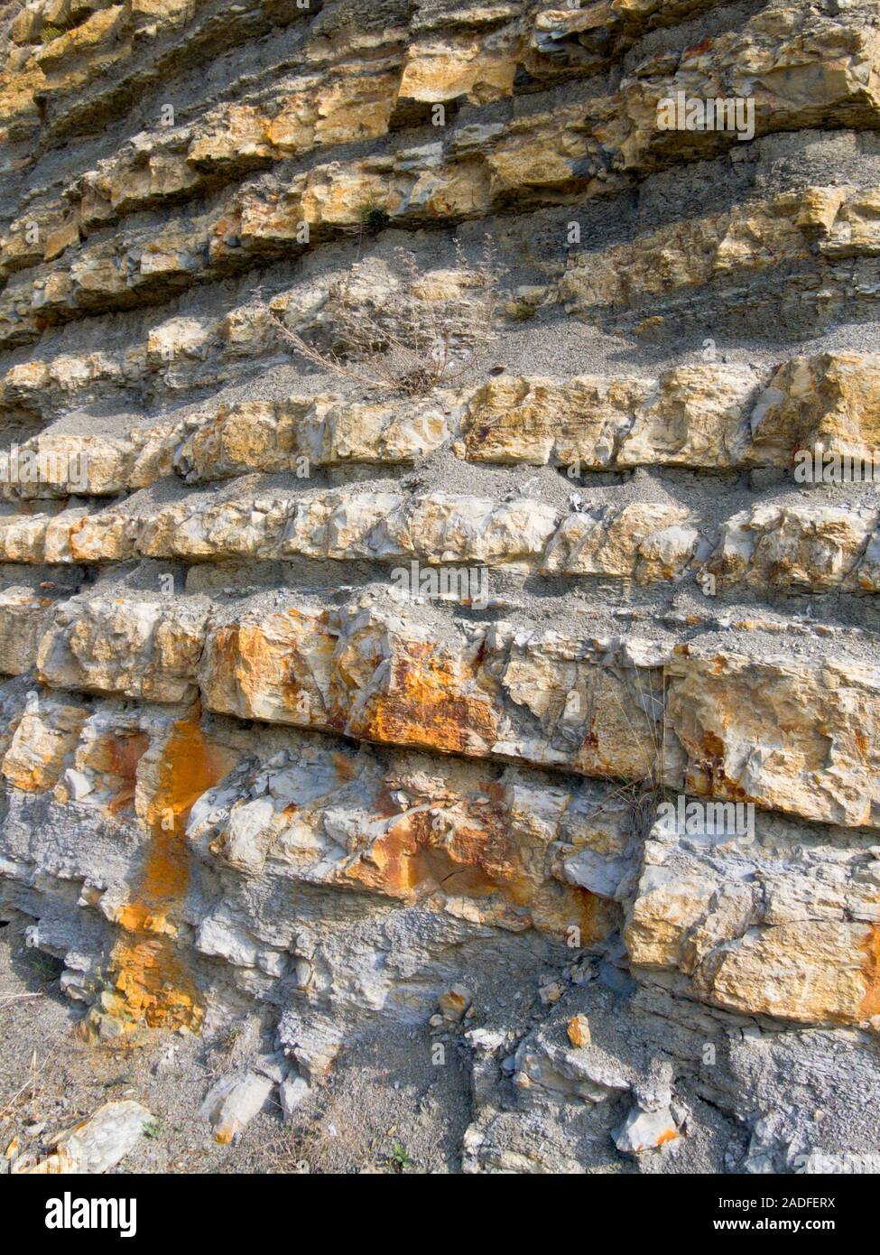 Strata of limestone and shale on a road cutting. Strata (horizontal ...