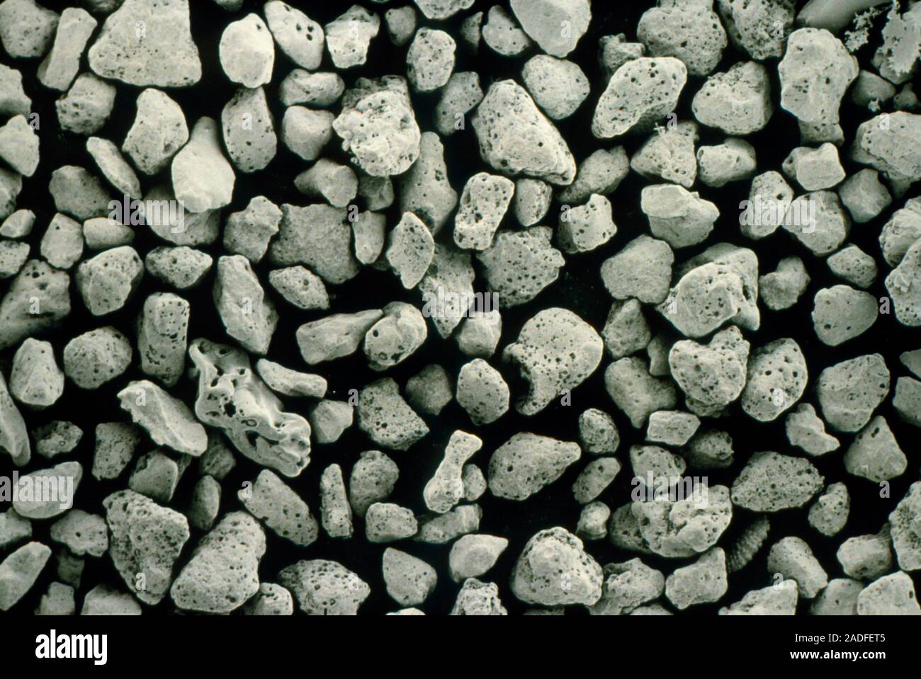 Scanning electron micrograph (SEM) of grains of sand from a beach on ...