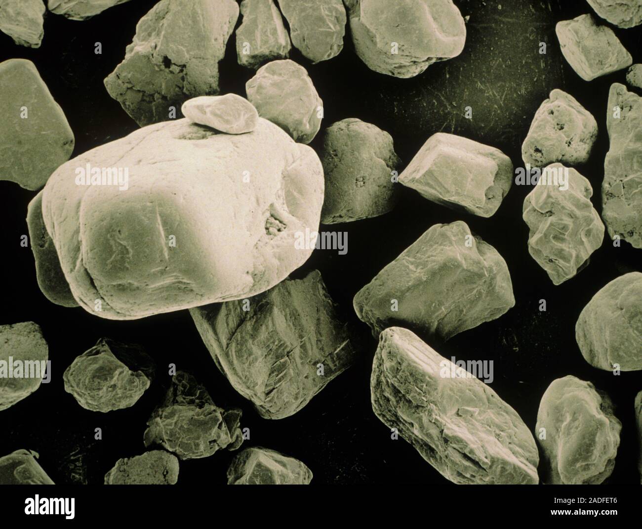 Scanning electron micrograph (SEM) of grains of sand from San Gregorio ...