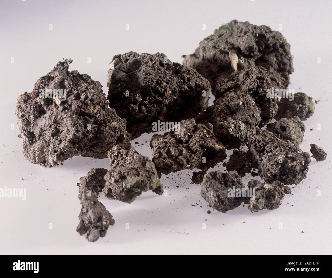 Clay soil. Soils with a high proportion of clay typically stick ...