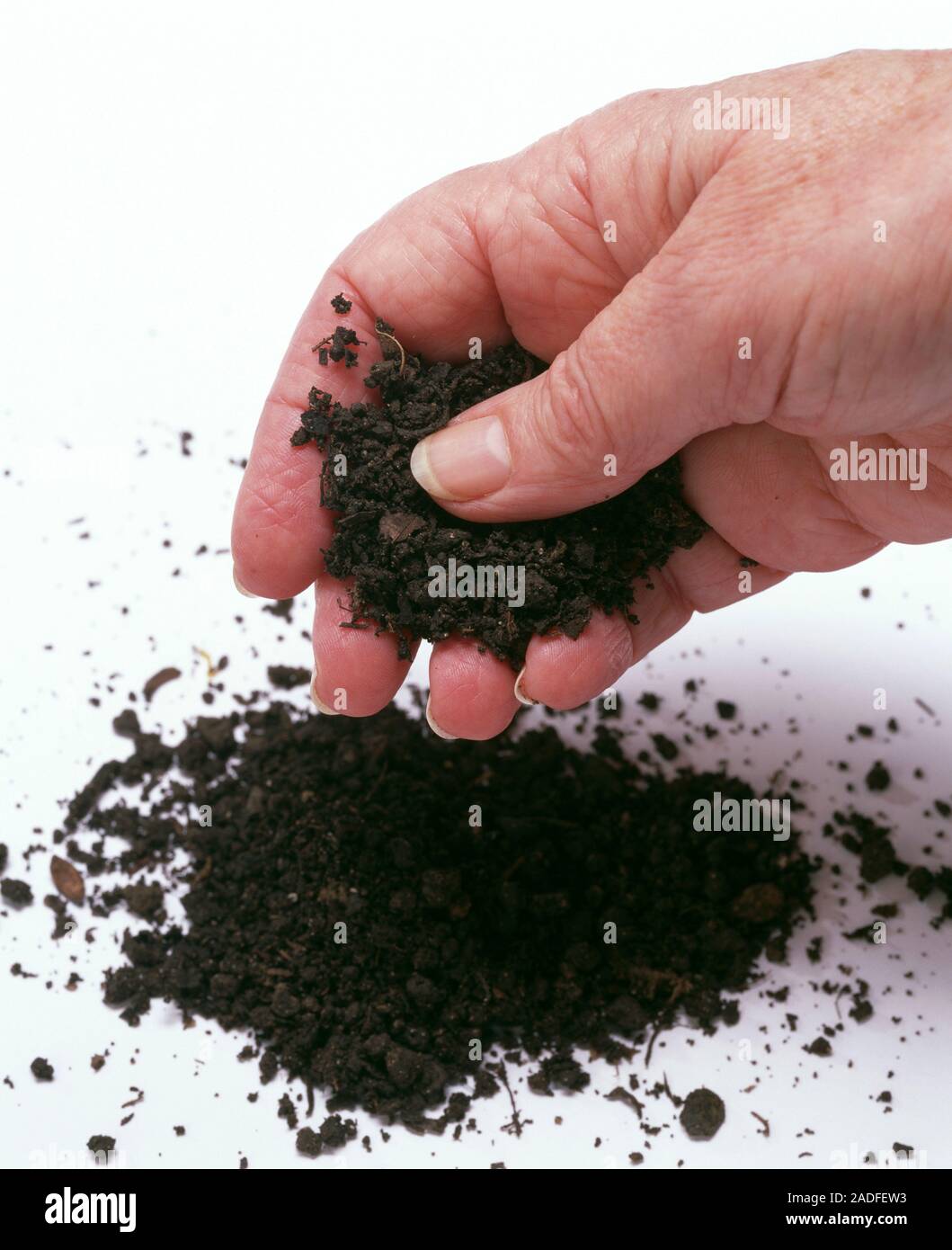 Loam soil. Hand feeling the texture of a sample of loamy soil. Such ...