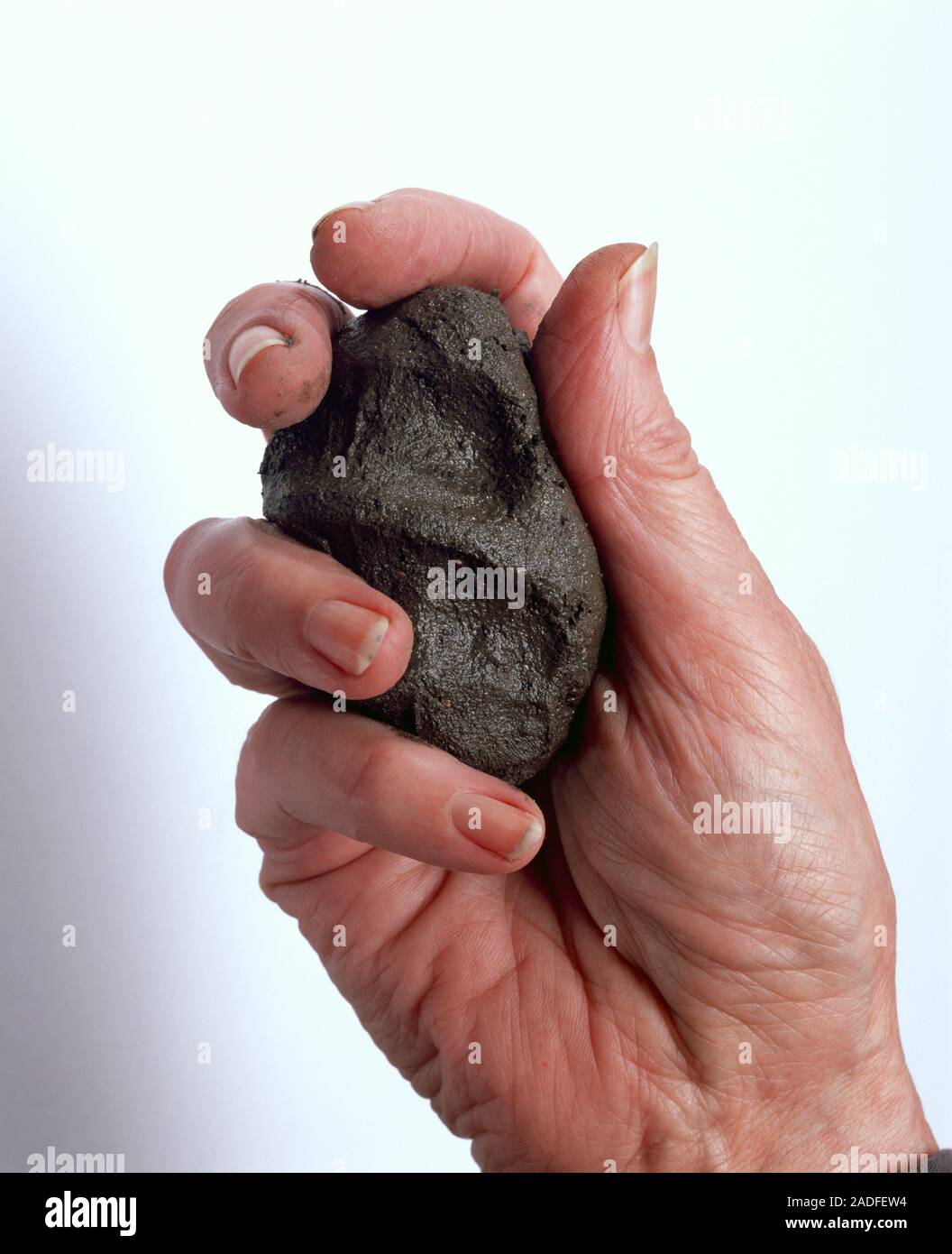 Clay soil. Hand squeezing a sample of clay soil. Soils with a high ...