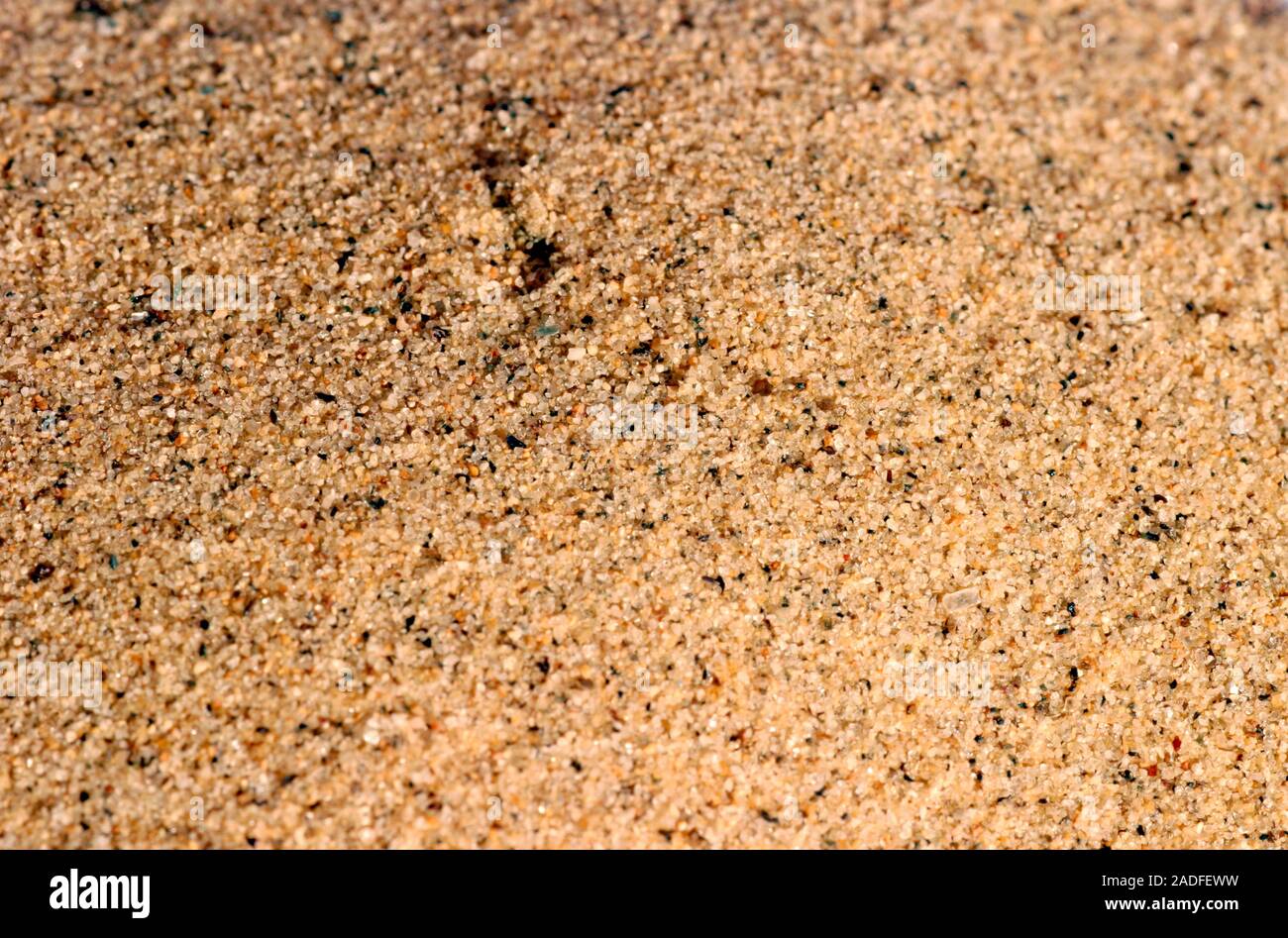 Desert sand. Sand is composed of small grains of rock. Its composition ...
