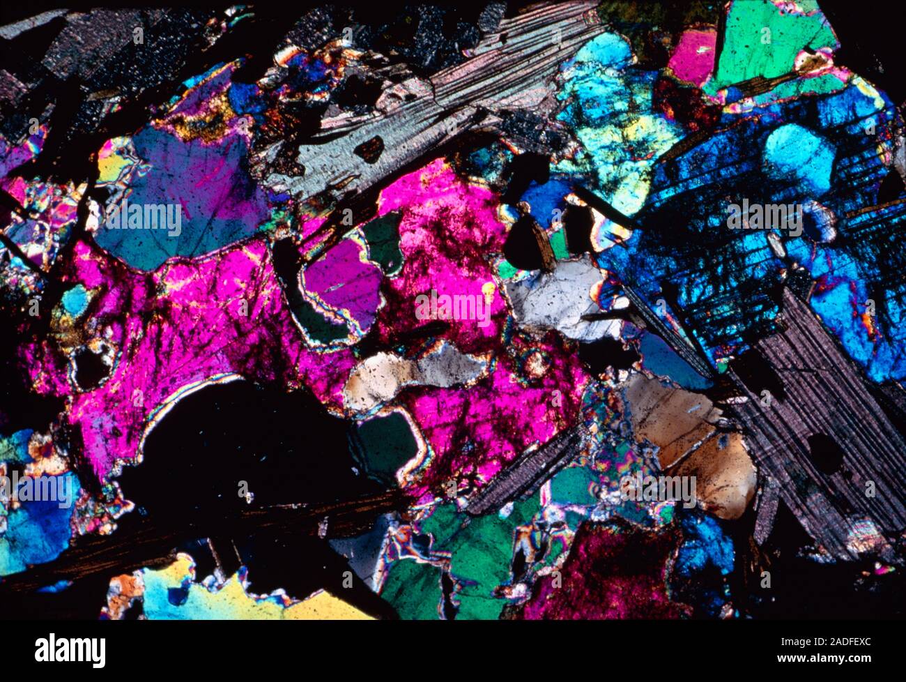 Light micrograph of a thin section of tourmaline mica in slate from ...