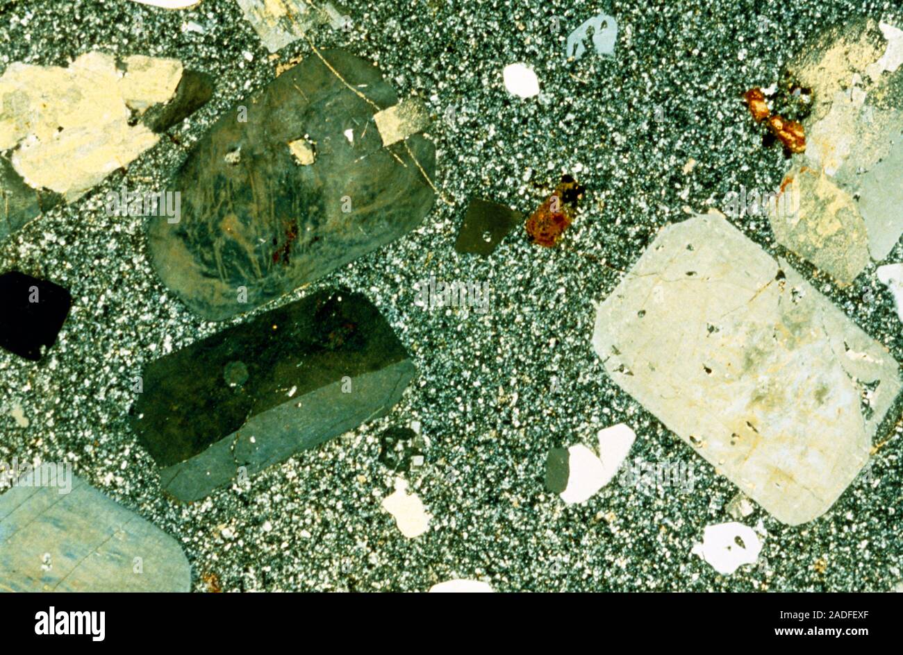 Cross polarised light micrograph of a thin section of a porphyritic ...