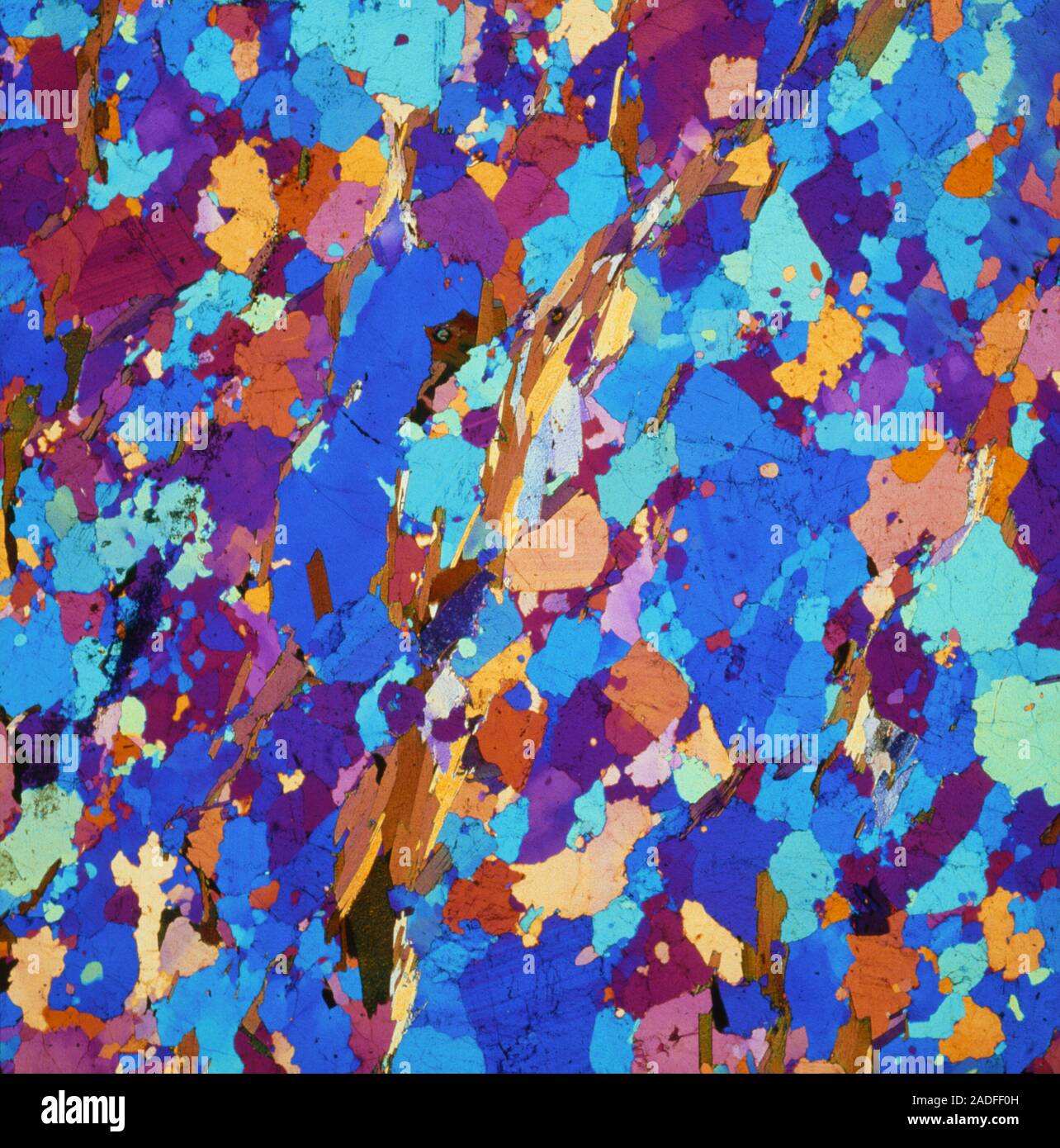 Polarised light micrograph of a thin section of gneiss, a type of ...