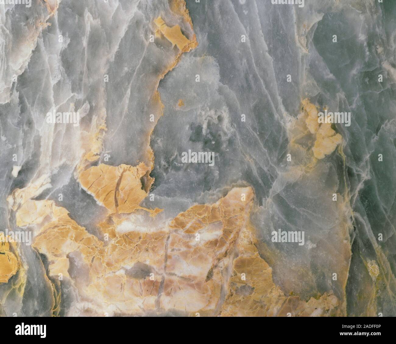 Macrophotograph of the surface of a slab of polished marble. This grey ...