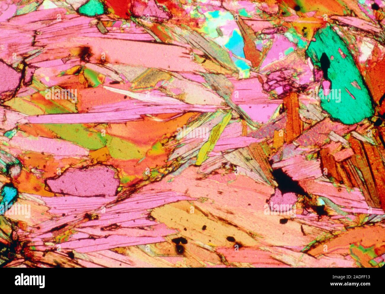 Polarised light micrograph of a thin section of garnetiferous mica ...