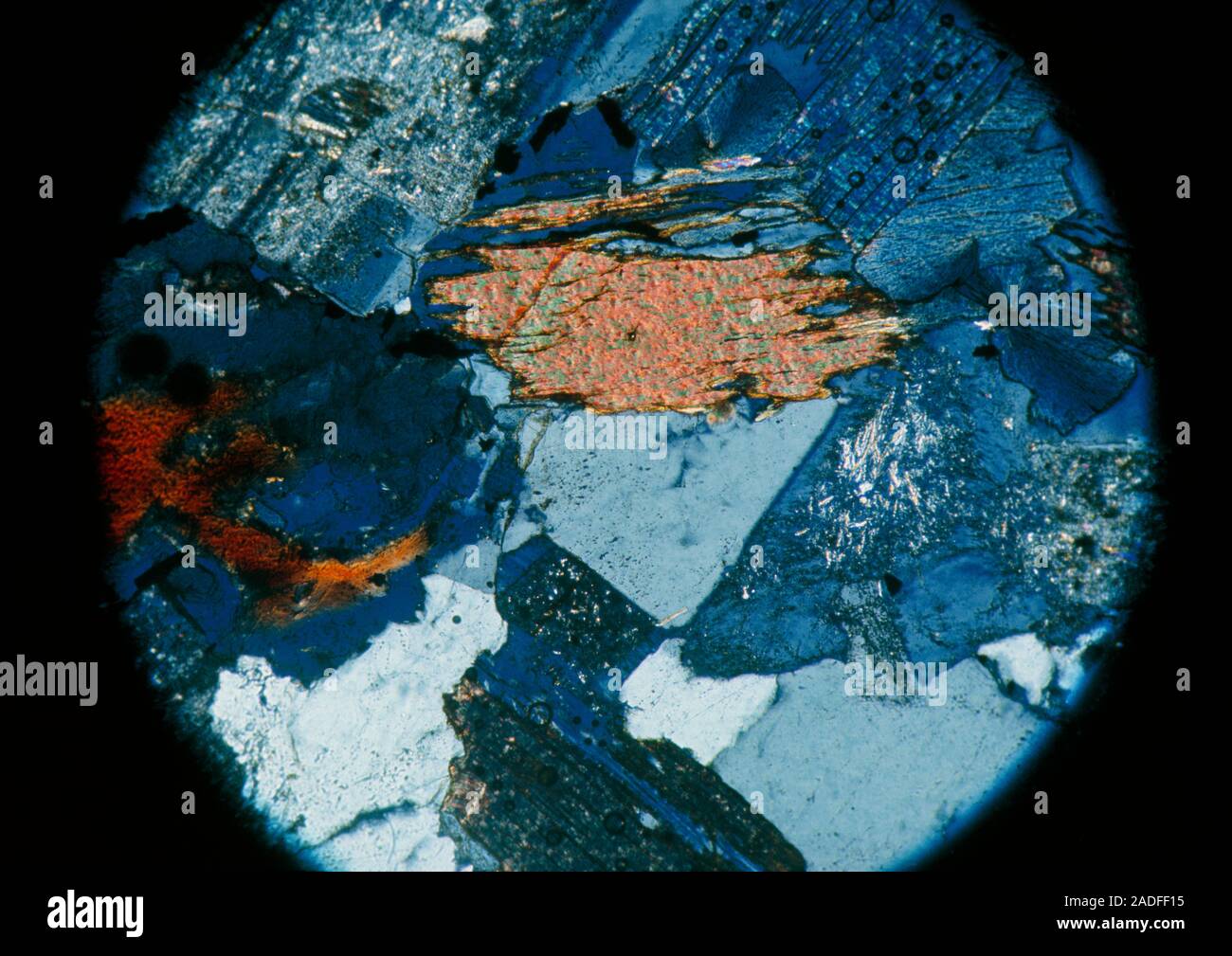 Polarised light micrograph of a thin section of granite, a coarse-grained igneous rock composed ...