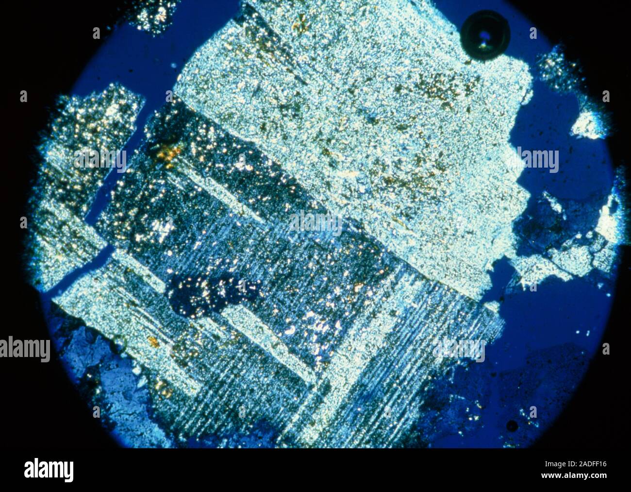 Polarised light micrograph of a thin section of porphyritic granite ...