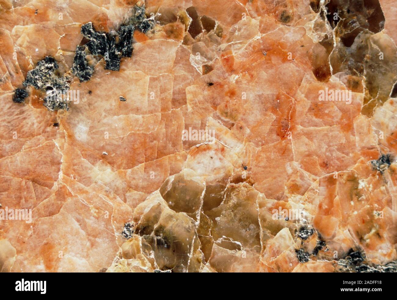 Macrophotograph of a specimen of pink granite. Granite is an intrusive ...