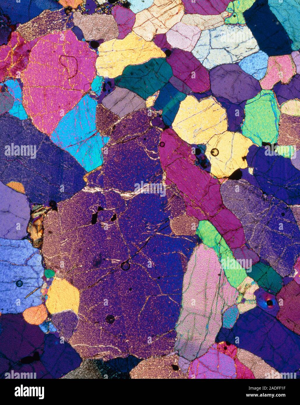 Monzonite. Polarised light micrograph of a thin section of monzonite ...
