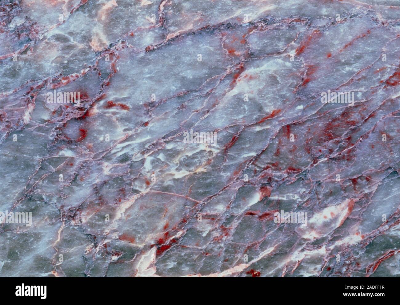 Marble. Cut surface of marble, a type of metamor- phic rock derived ...