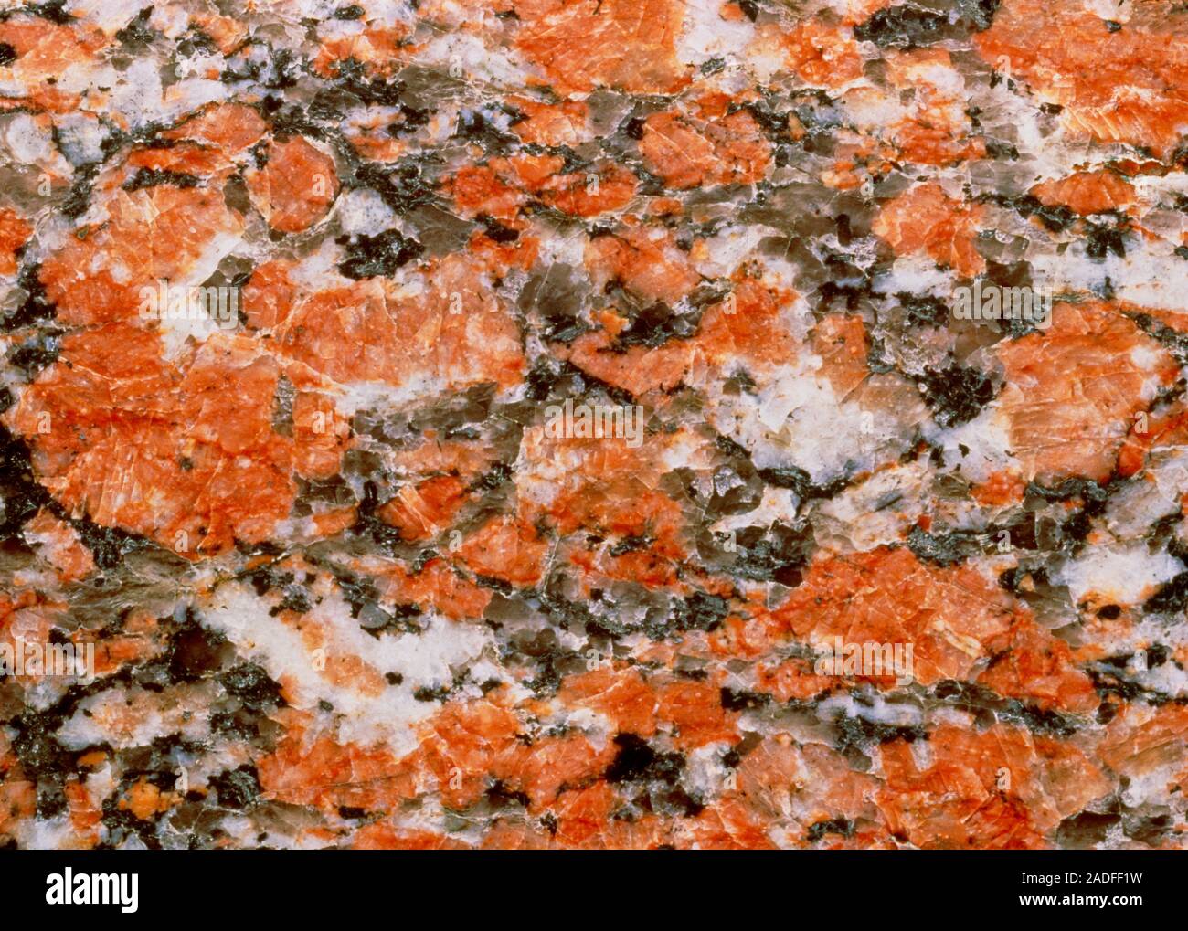 Granite. Cut surface of the rock granite, showing its coarsely ...