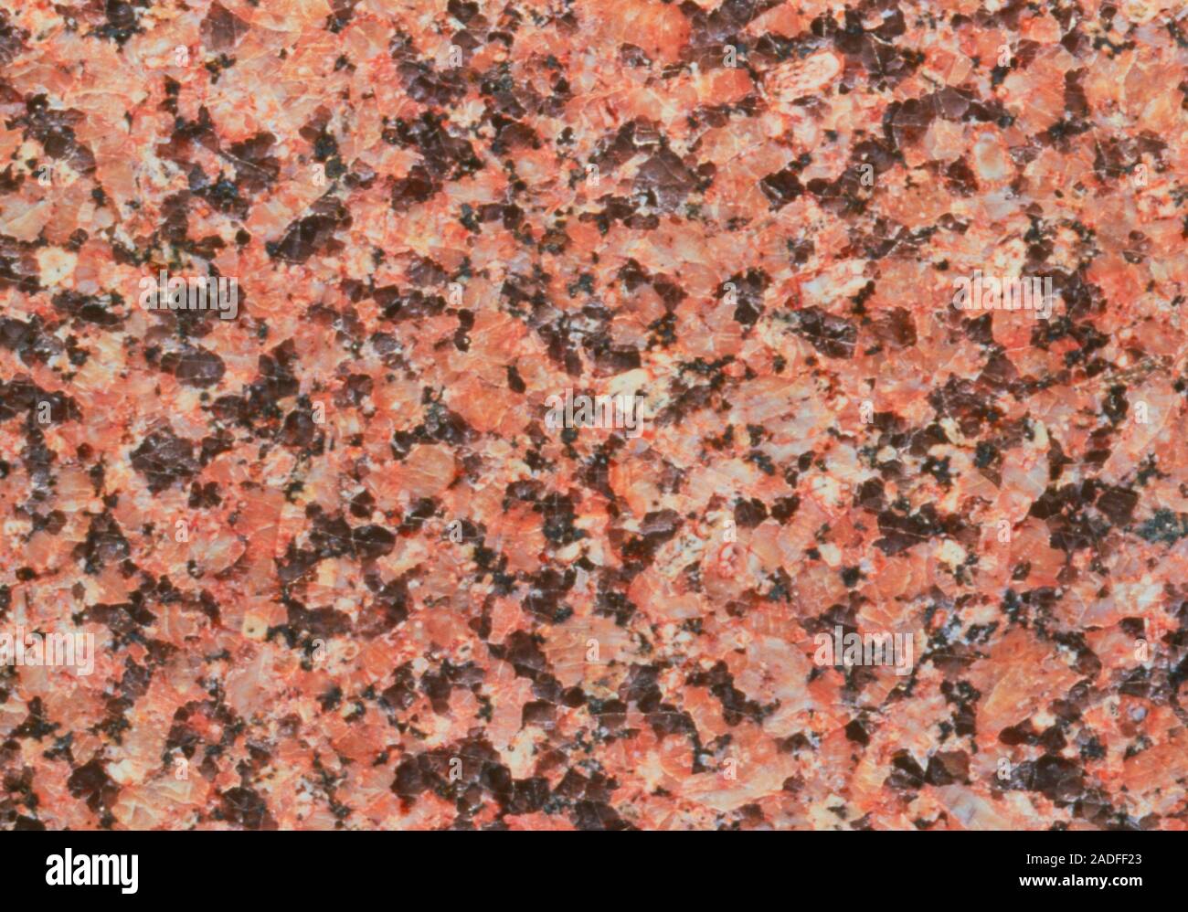 Granite. Cut surface of the rock granite, showing its coarsely ...