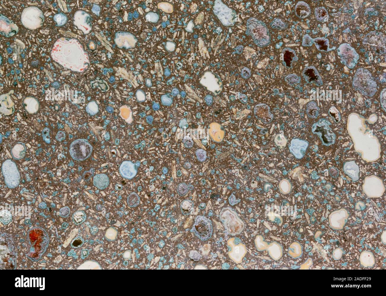 Andesite. Cut surface of amygdaloidal andesite, a type of volcanic rock ...