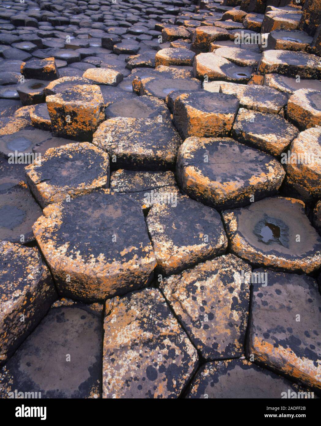 Giant's Causeway. Basalt column formation known as the Giant's Causeway ...