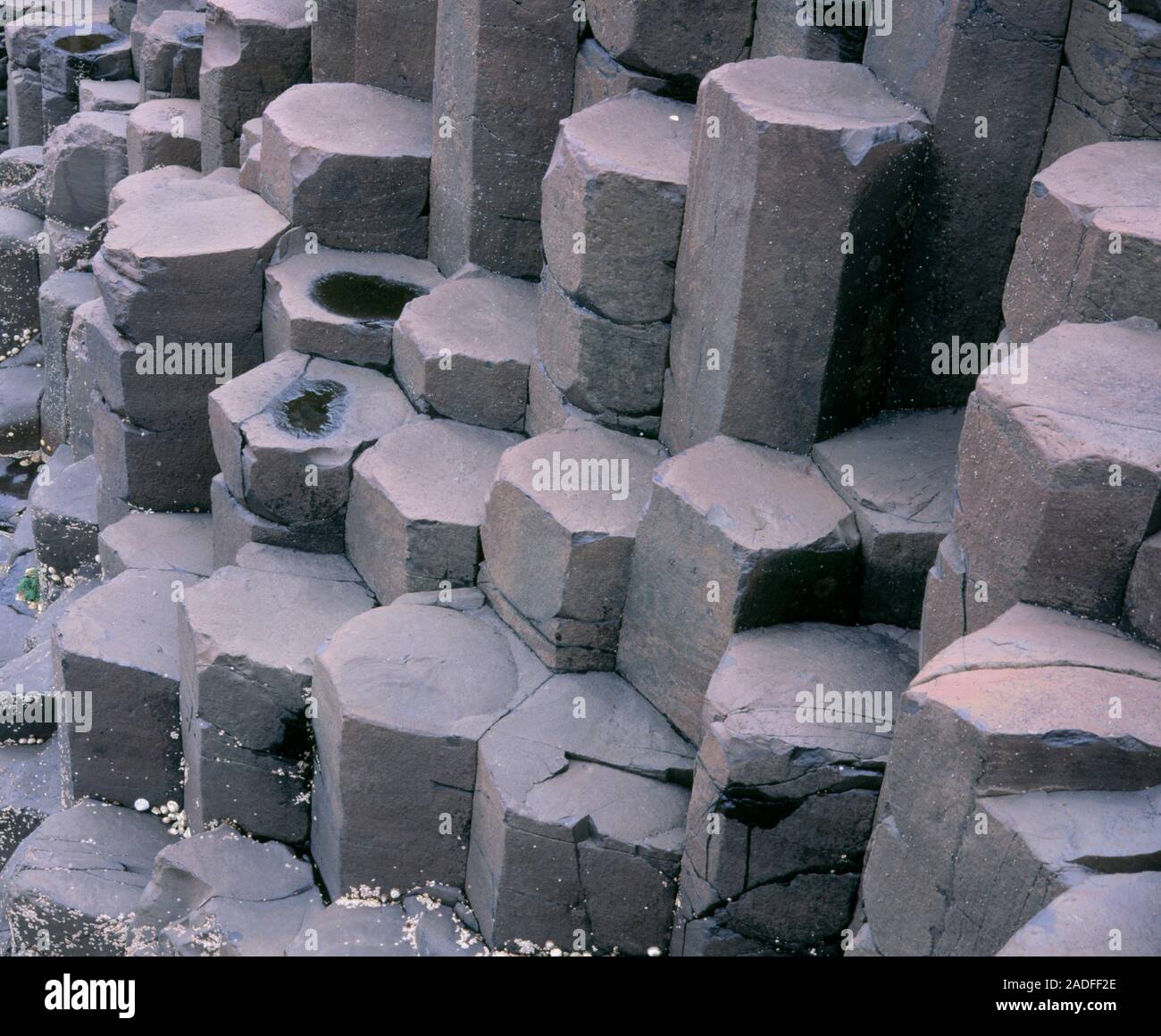 Giant's Causeway. Basalt column formation known as the Giant's Causeway ...